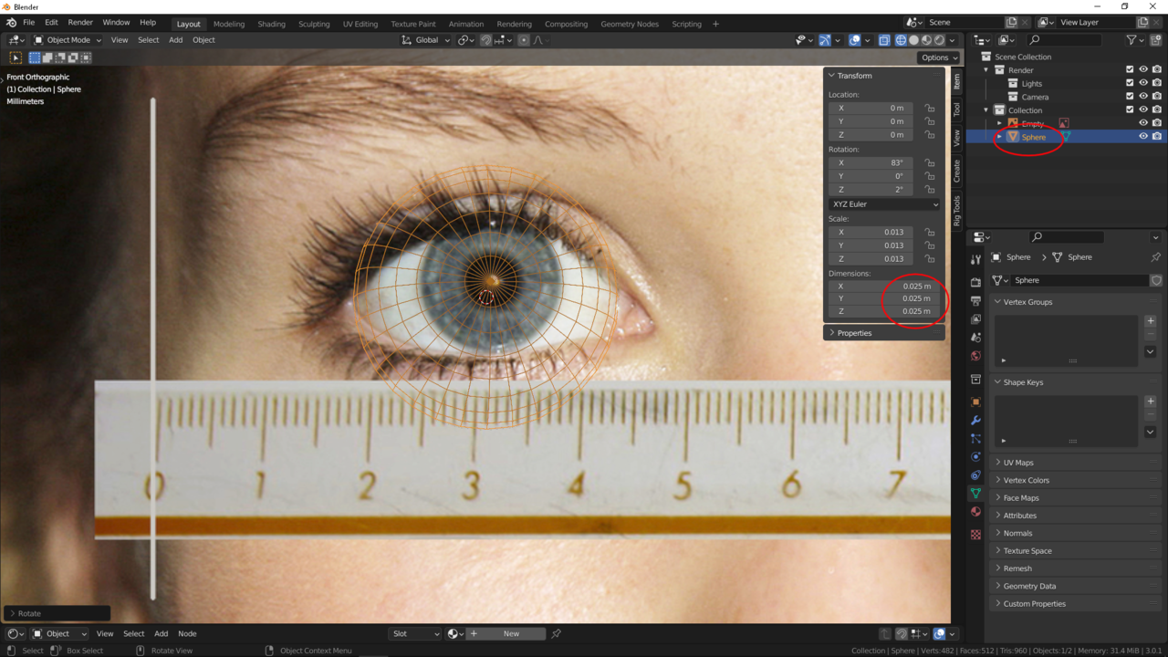 What Is The Correct Eyeball Size CG Cookie