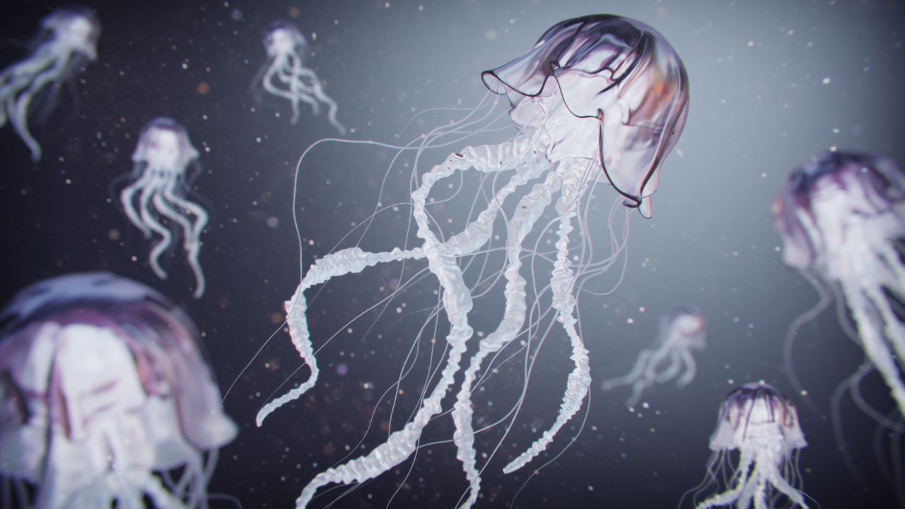 Jellyfish scene - CG Cookie