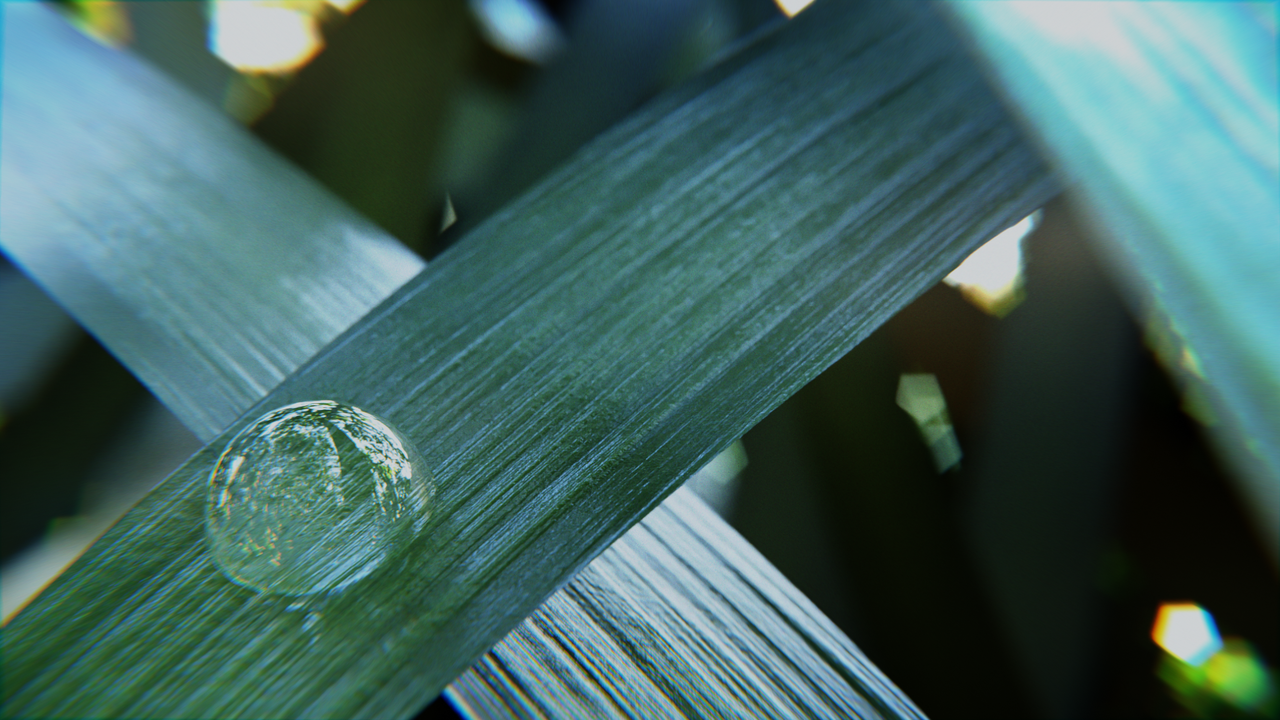 Dew Drop - Sessions - CG Cookie