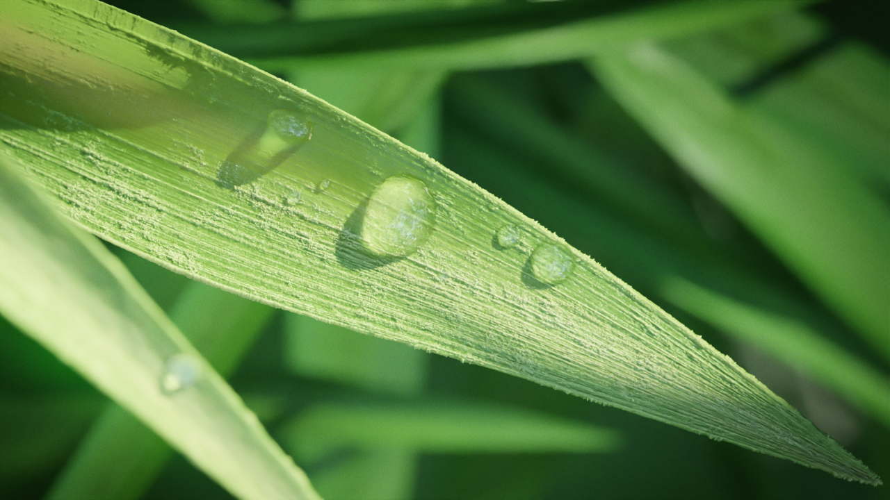 Dew Drop Sessions - Challenge - CG Cookie