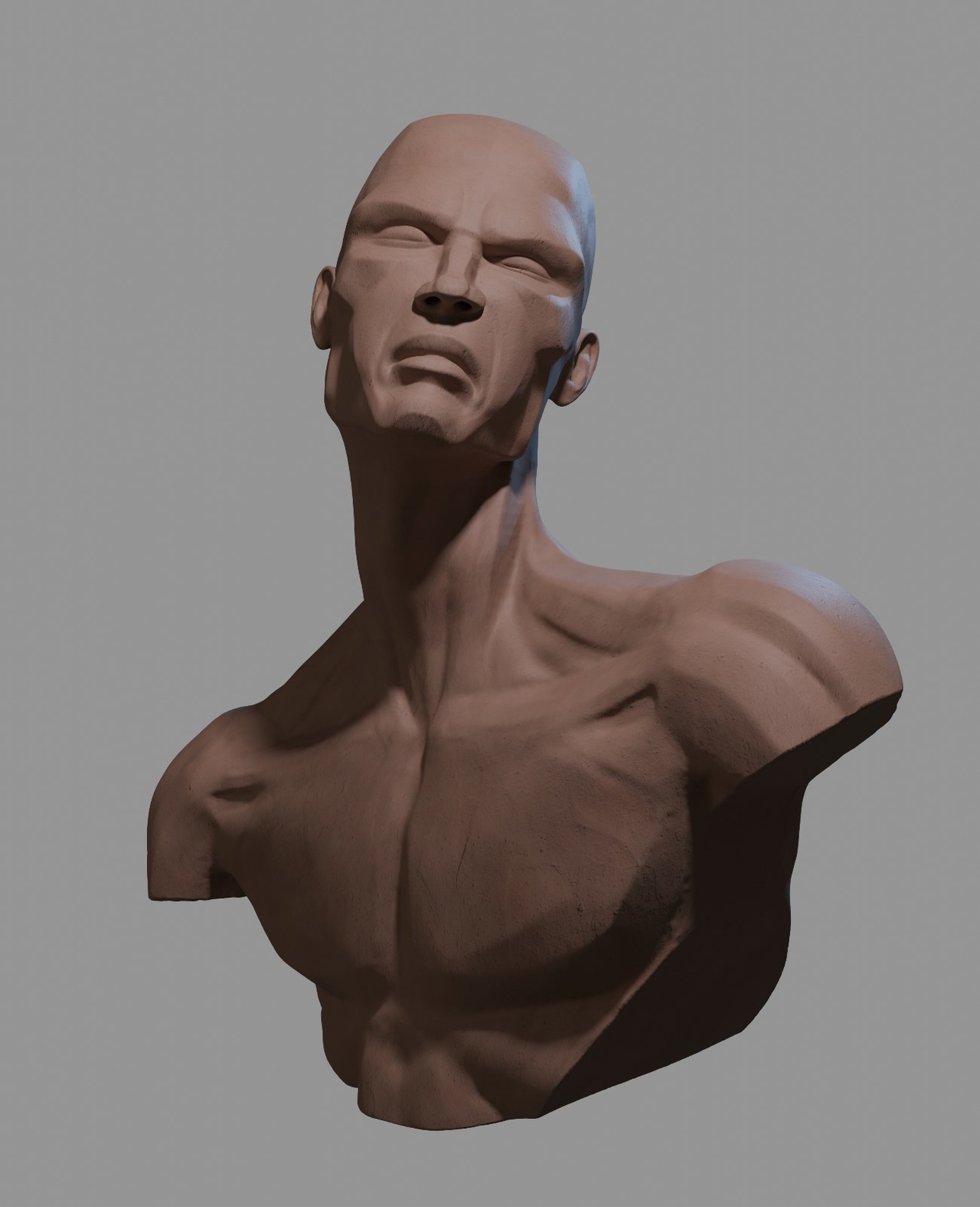 Portrait study - CG Cookie