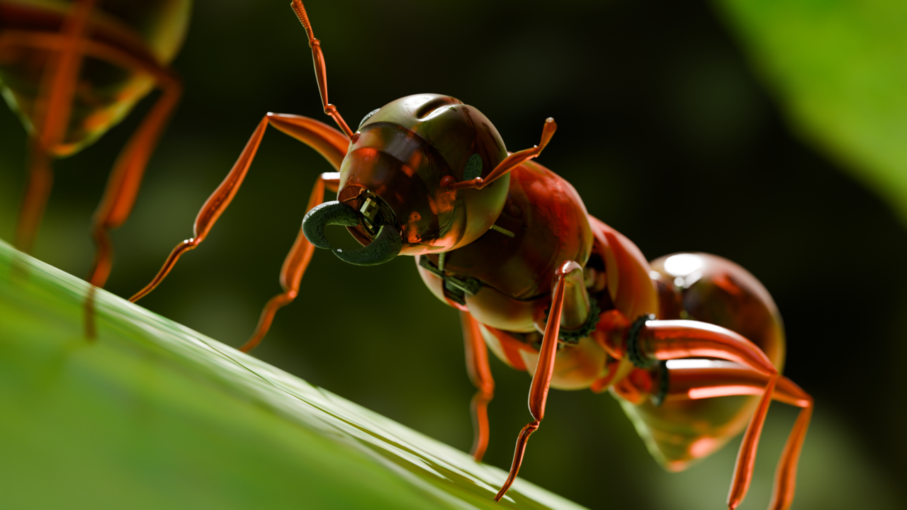 Bug Bot Part 2 - CG Cookie