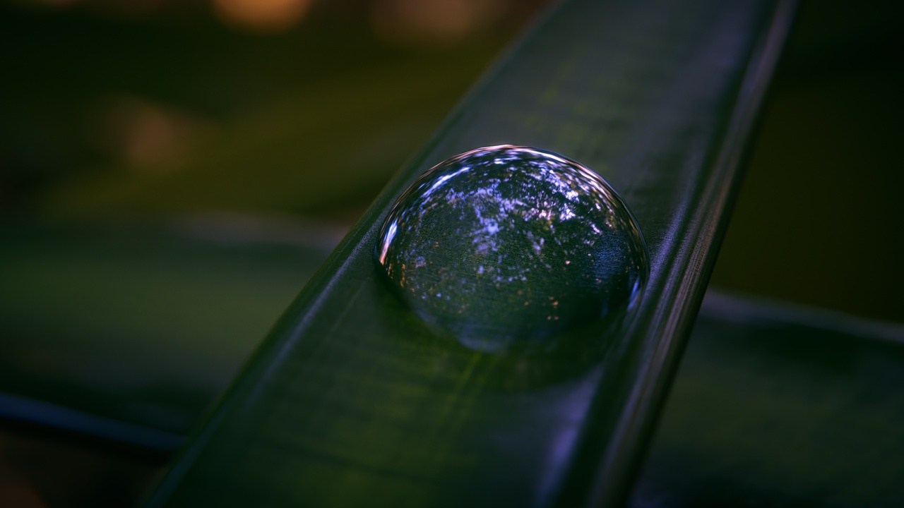 Sessions: Macro - CG Cookie