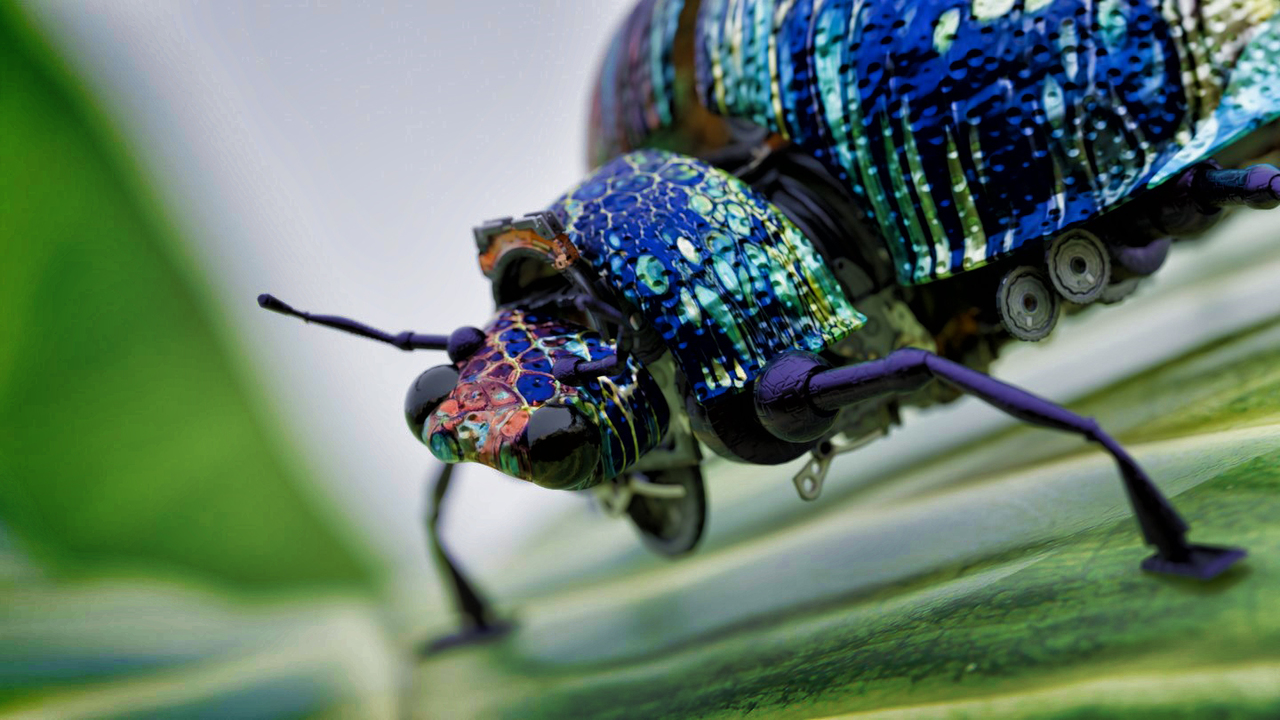 Bug Bot Beetle - CG Cookie