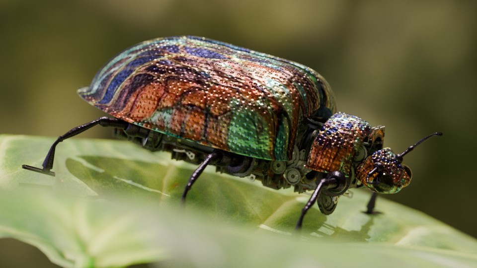 Active Bug Bot Beetle - CG Cookie