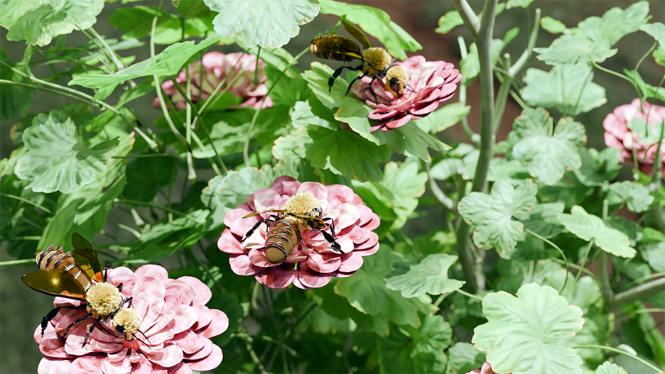 3 Beebots - CG Cookie