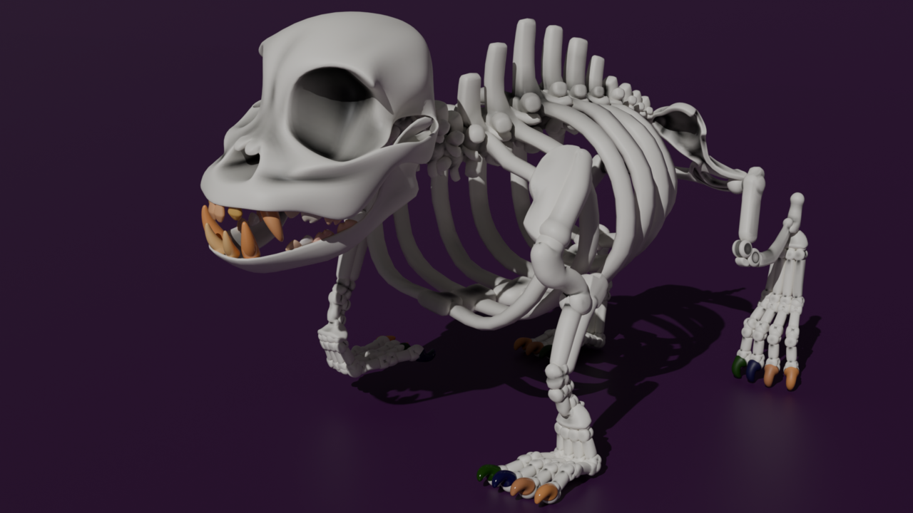 Bulldog Video Game Skeleton - CG Cookie