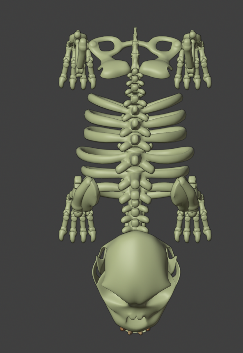 Bulldog Video Game Skeleton - CG Cookie